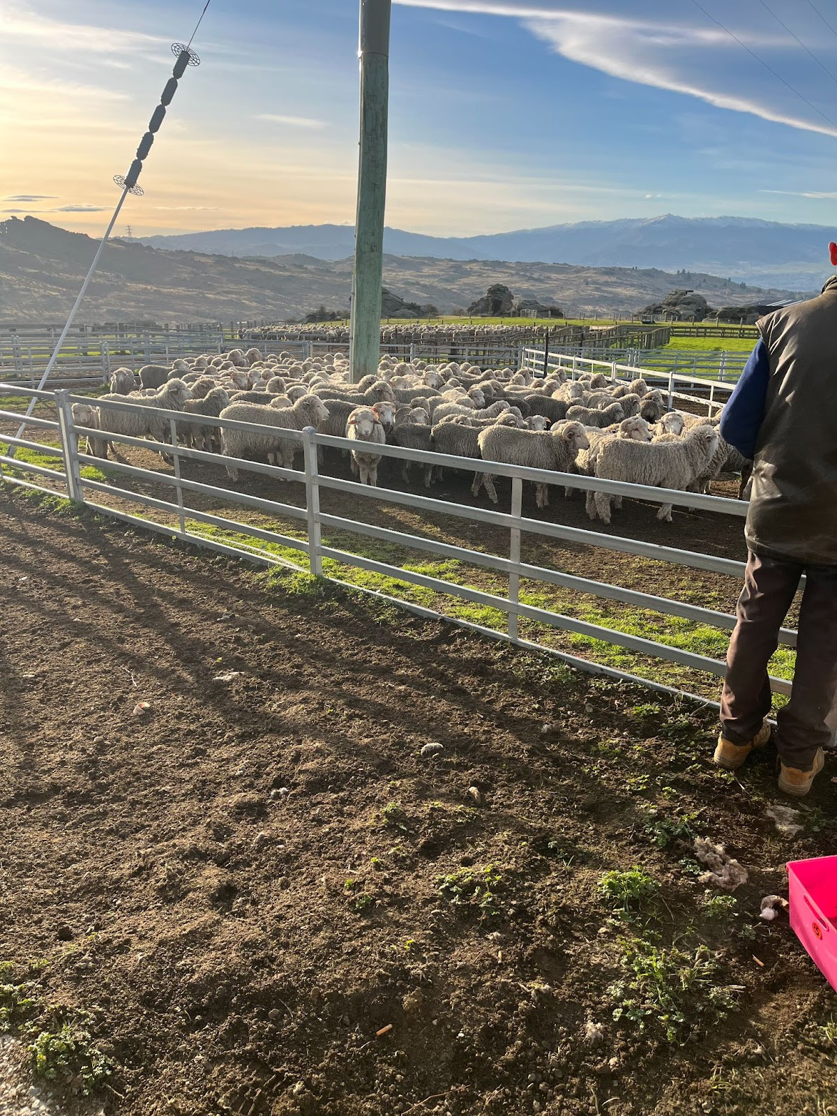 Gateway/Work Placement - Hayvin O Neill - Dunstan High School